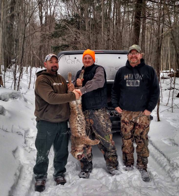 Wisconsin Bear Hunting Guide | Guided Predator Hunts | Taxidermy