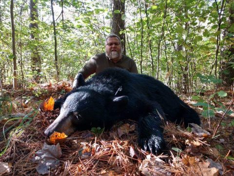 Northern Wisconsin Black Bear Hunting Guide Service (Zone A)